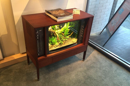 Ægte pausefisk hos Expert Nexø » Bornholm.nu