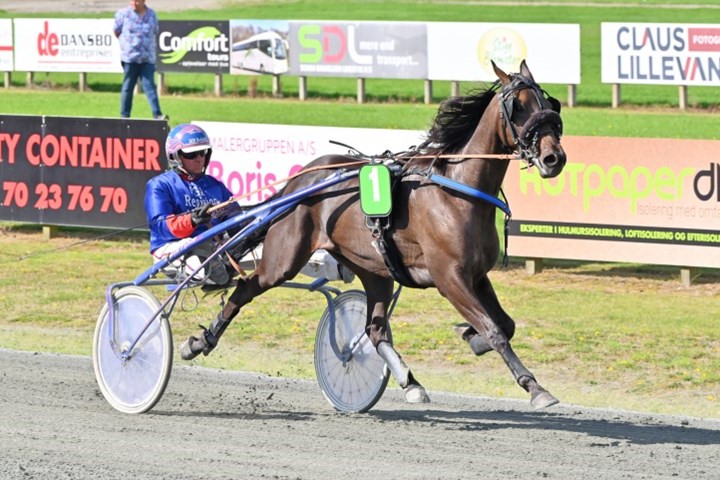 Sport » Endnu en travhest handlet til Bornholm » Bornholm.nu