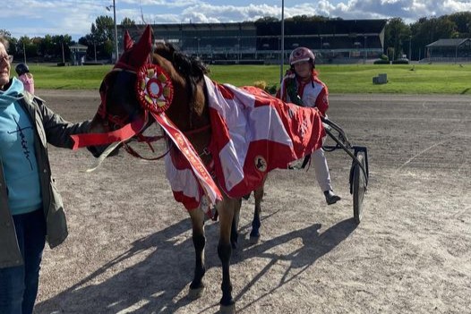 Sport » To ponyderbysejre til Bornholm » Bornholm.nu