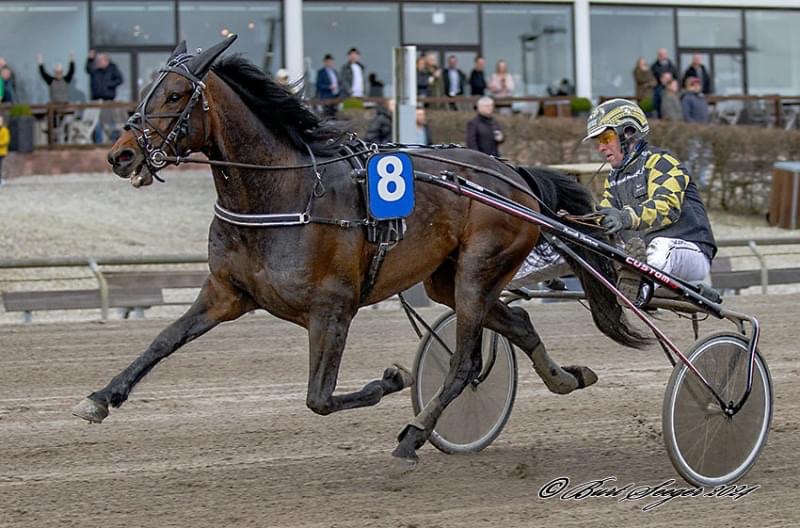 Sport » Stald KTAS har blikket rettet mod Calles Cup: Nylig vinder sigter på storløb på Bornholm ...